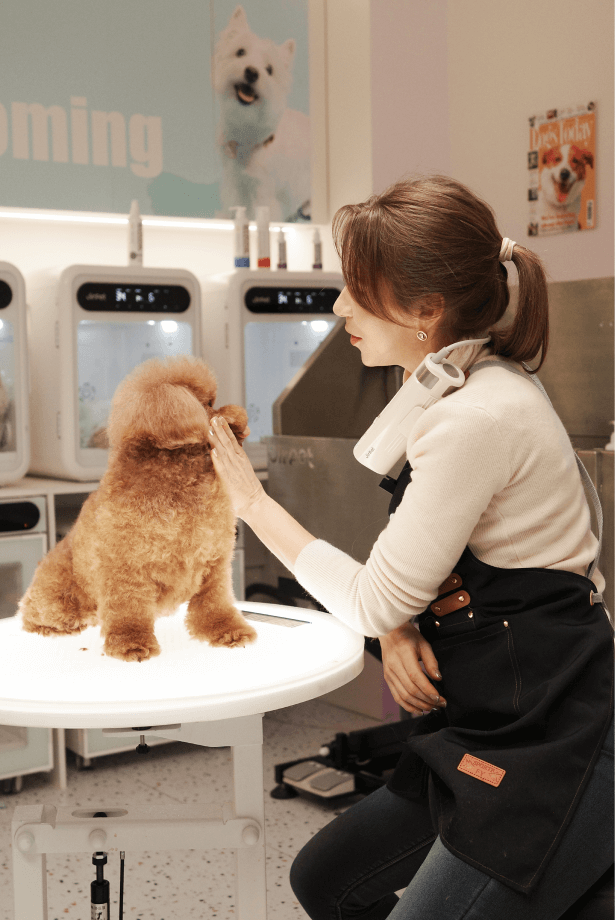 Professional Pet Grooming Equipment Manufacturer | Pet Dryers & Groomi ...